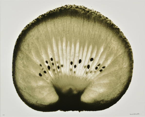 Denis BRIHAT:# La nature au coeur – Le Musée du Regard / Le Havre